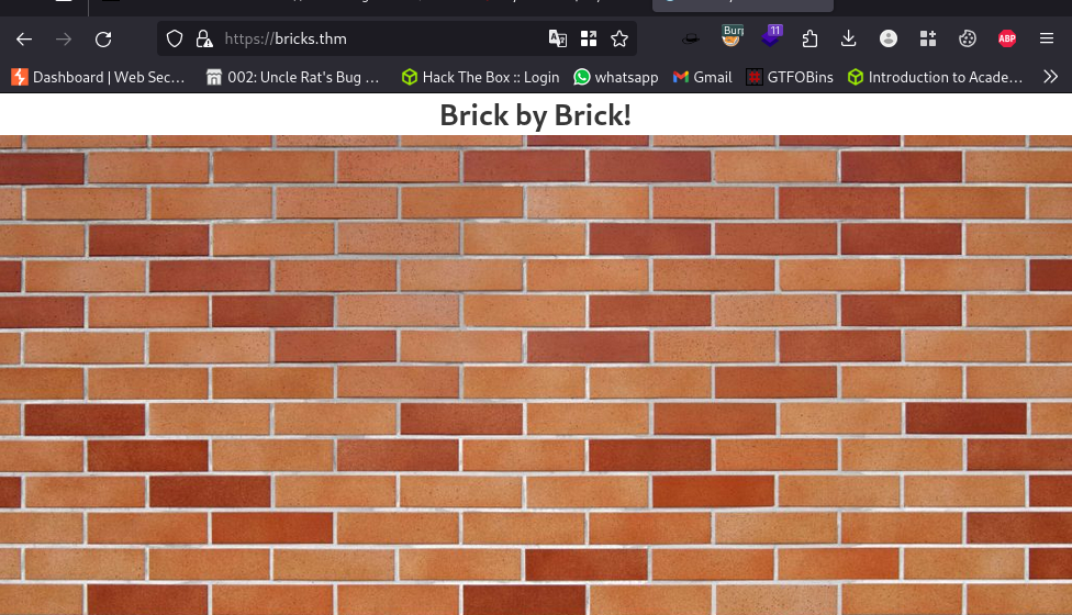 TryHack3M: Bricks Heist | deusx:~#
